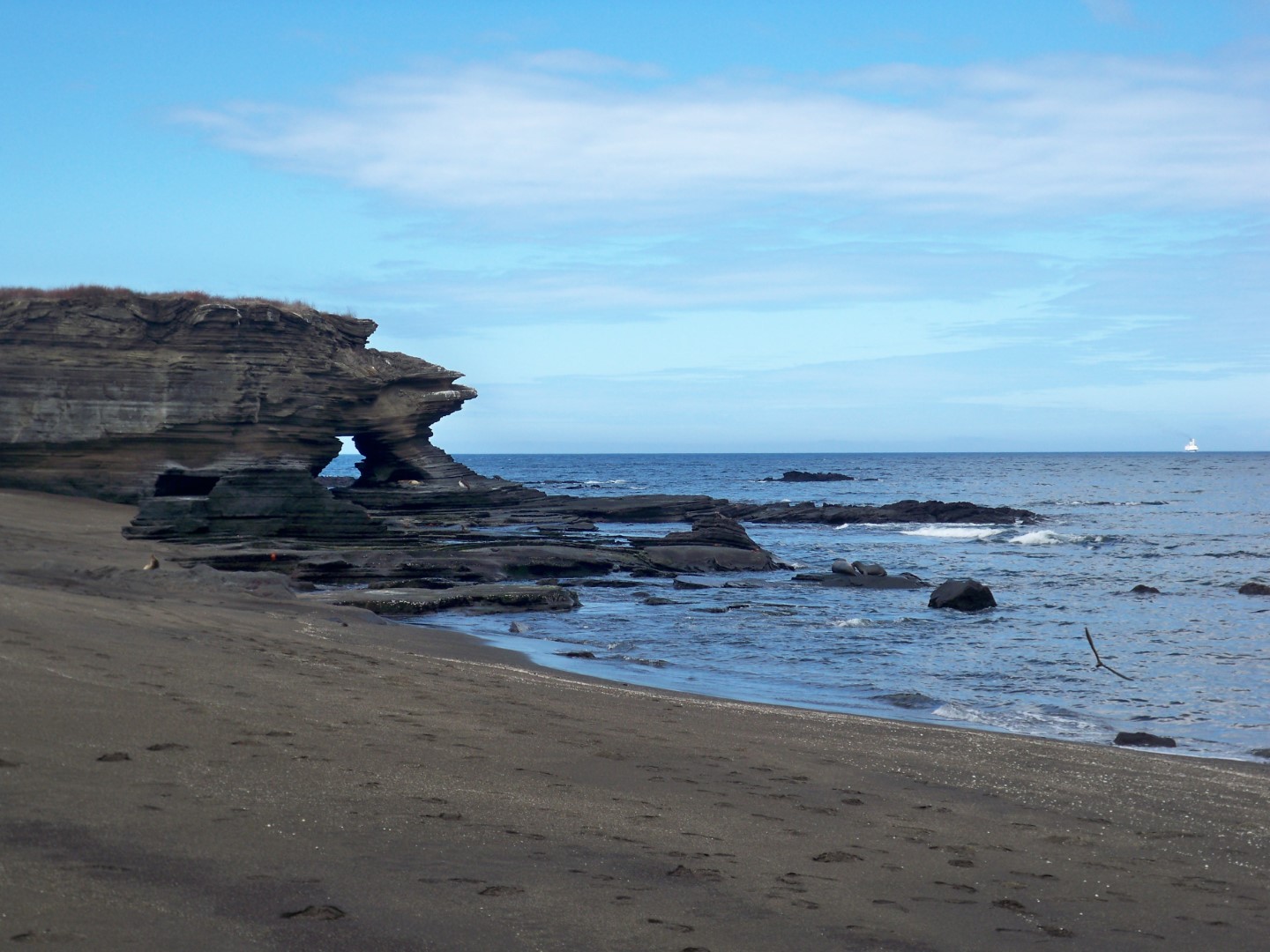 ¿Qué hacer en Isla Baltra en 2025? - Galápagos Cruceros