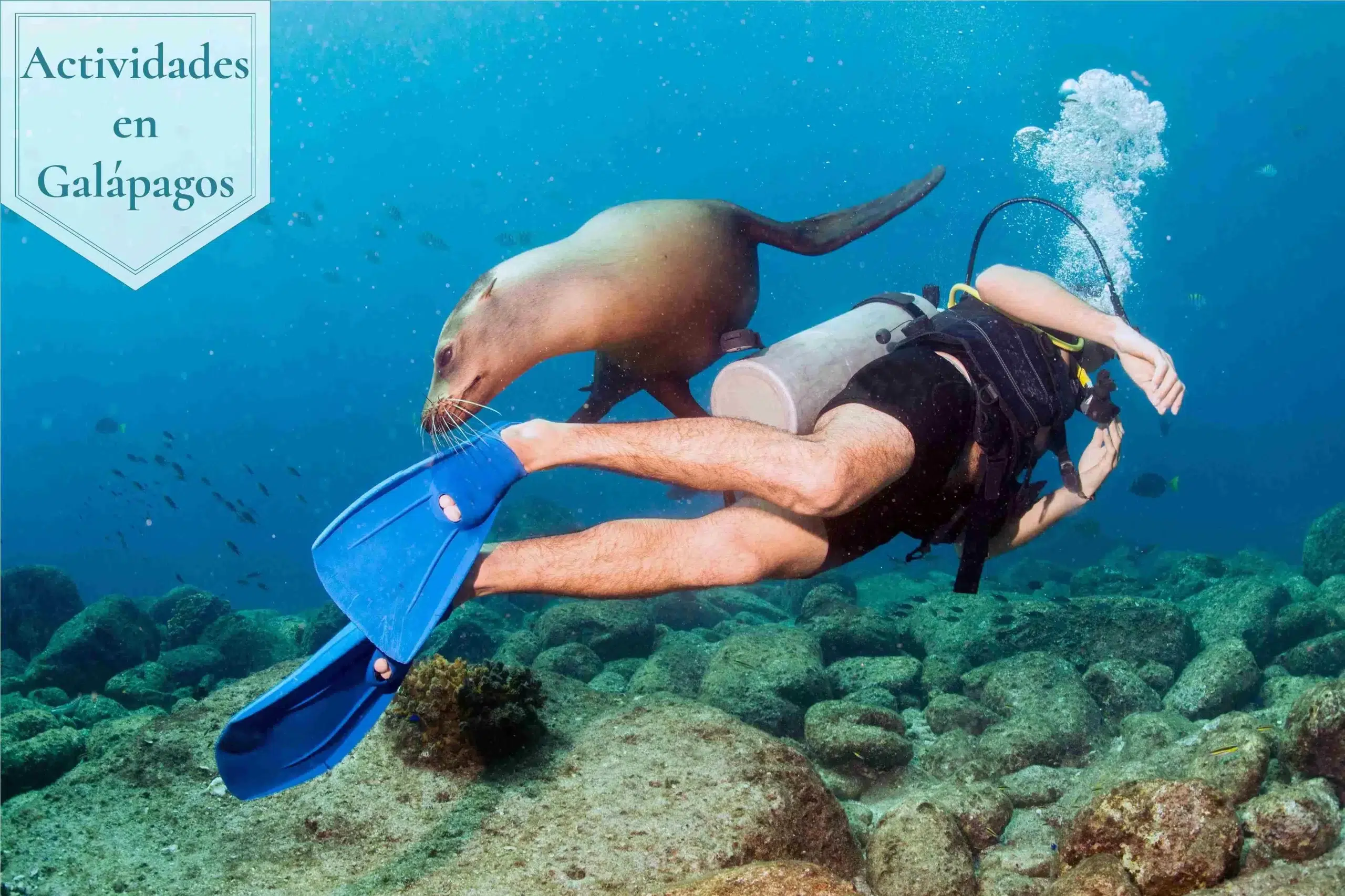 Actividades en Galápagos: Guía actualizada para 2025