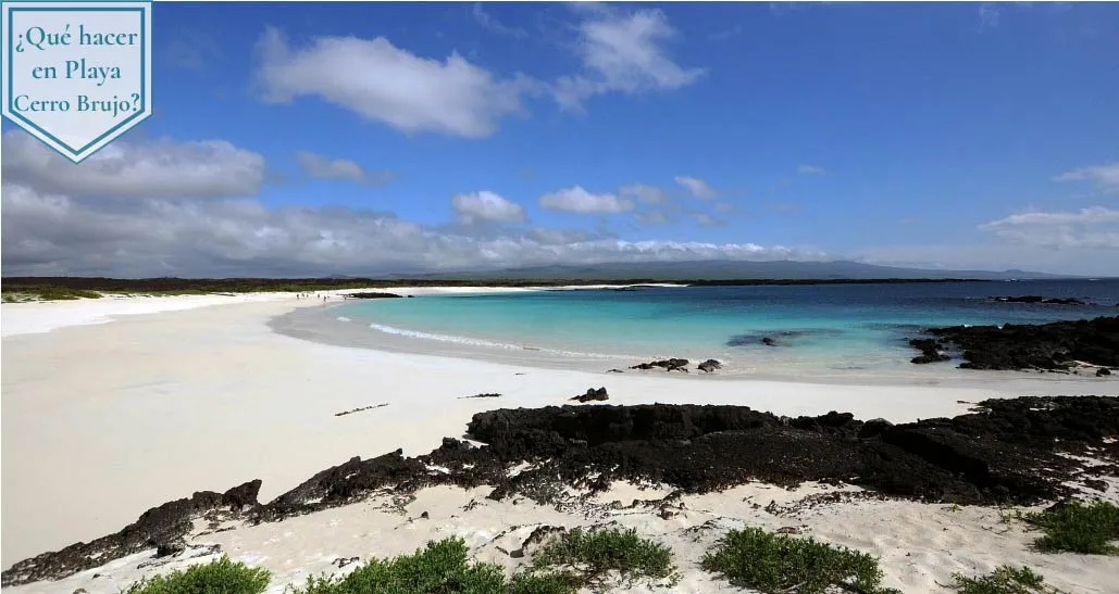 Cómo llegar y disfrutar de la Playa Cerro Brujo Galápagos