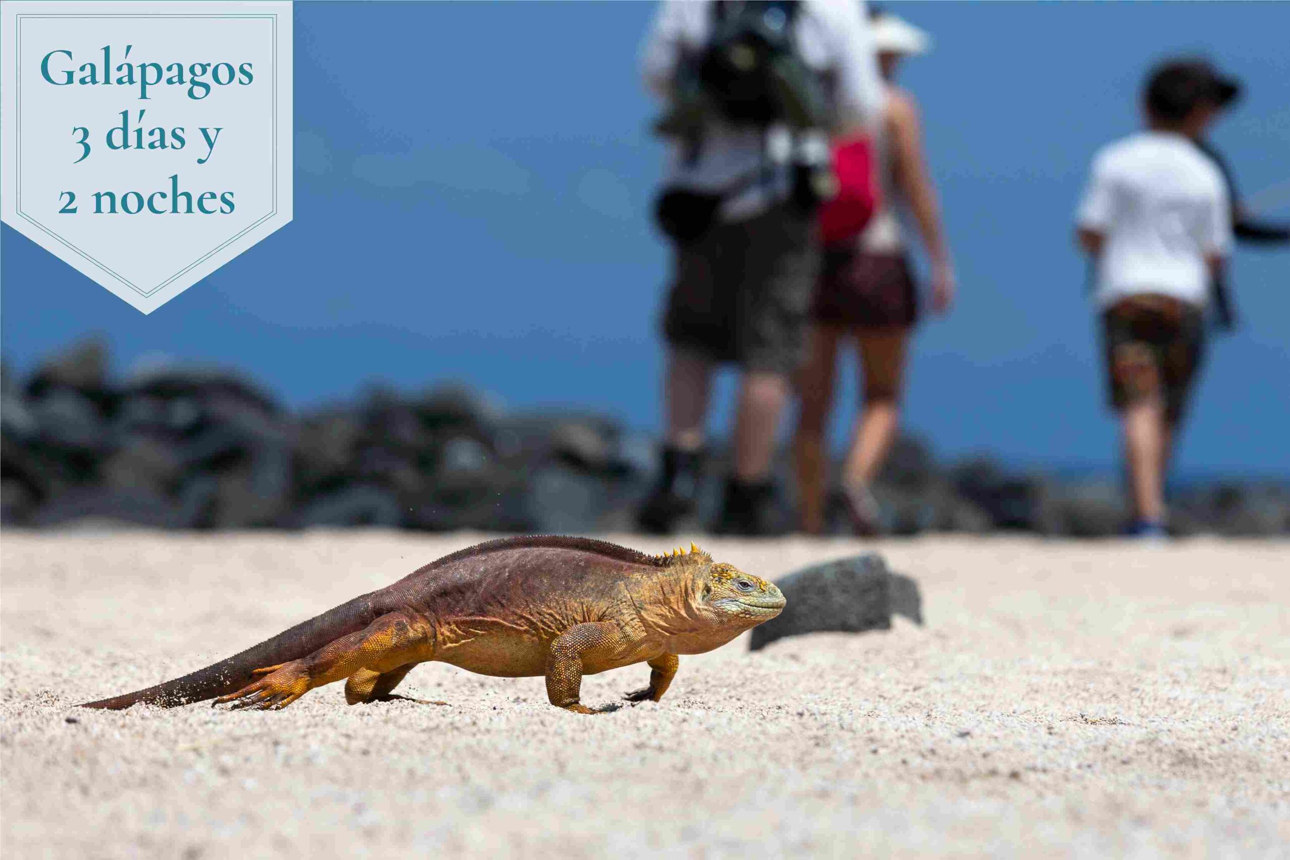 Galapagos Tour 3 days and 2 nights